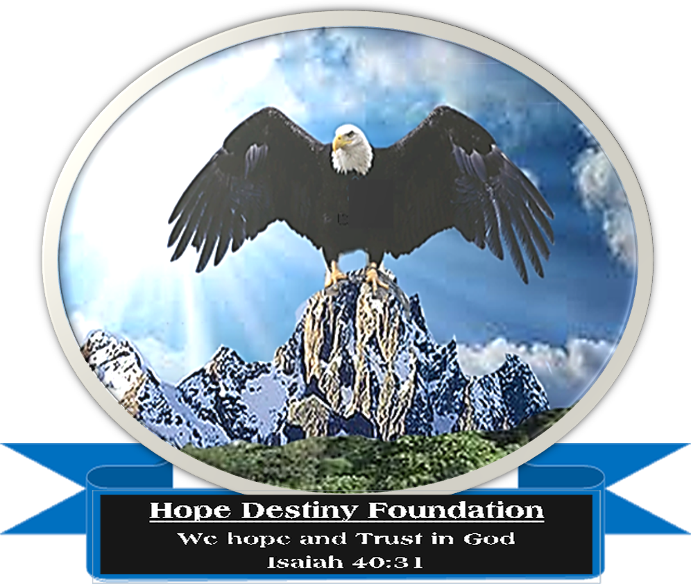 Home [hopedestiny.org]